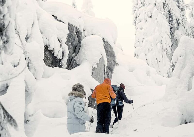 Vuokatti: Snowshoeing Adventure in the Forest - Key Points