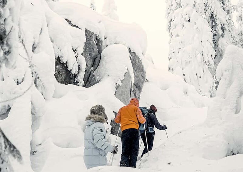 Vuokatti: Snowshoeing Adventure in the Forest - Key Points