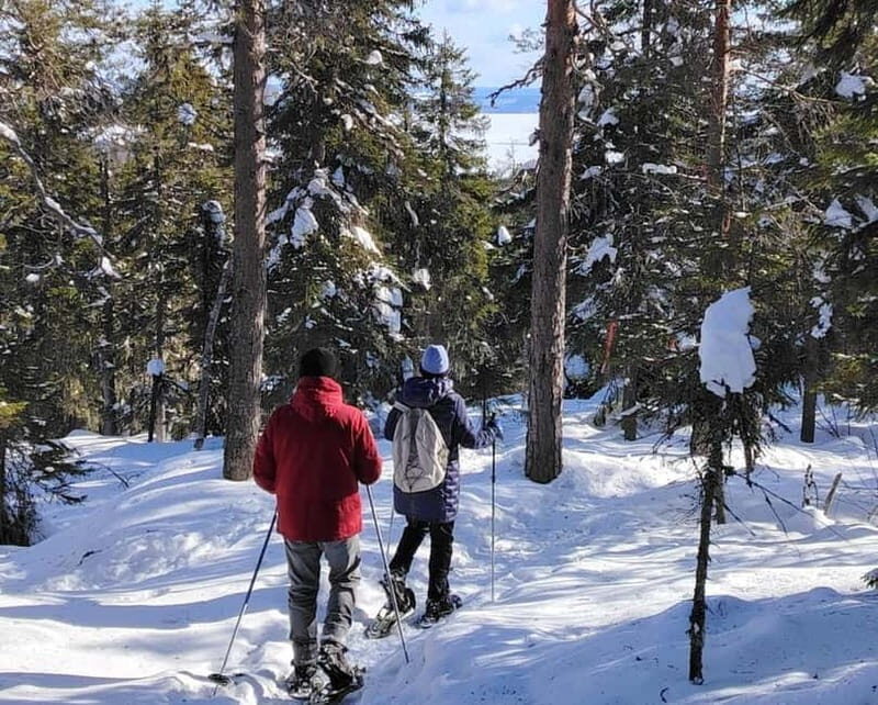 Vuokatti: Snowshoeing Adventure in the Forest - An Overview of the Snowshoeing Experience in Vuokatti