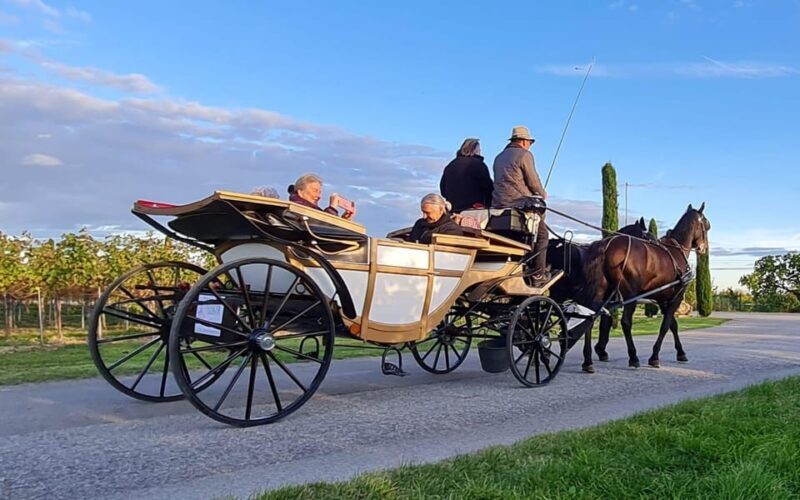 Wachau porcelain carriage A sparkling carriage ride through the vineyards - The Route: Carefully Chosen for Serenity
