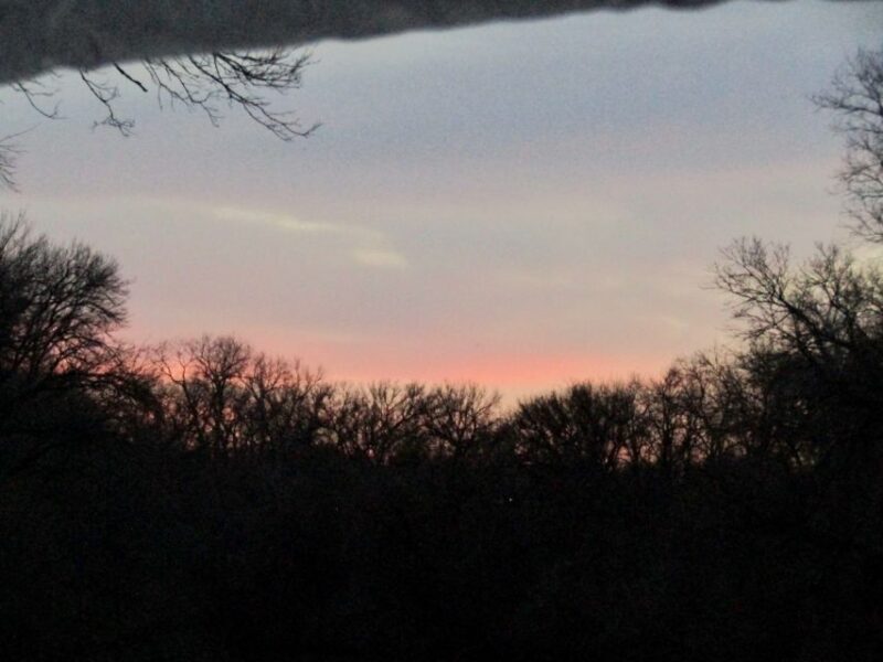 Waco: Brazos River Boating Adventure - The Sum Up: Why Choose the Brazos River Boating Adventure?