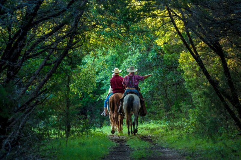 Waco: Sunset Horseback Ride - In-Depth Look at the Experience
