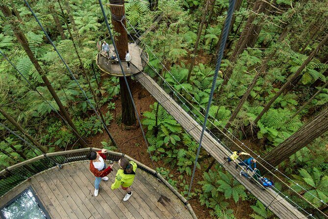 Wai O Tapu Thermal Wonderland with Forest Walk or Forest Spa - Who Will Love This Tour?