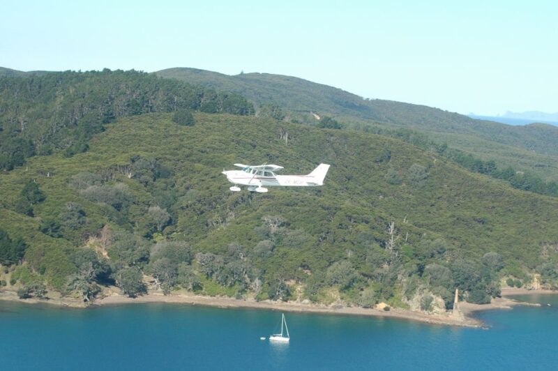 Waiheke Island: 30-Minute Scenic Flight - The Pilot and Commentary