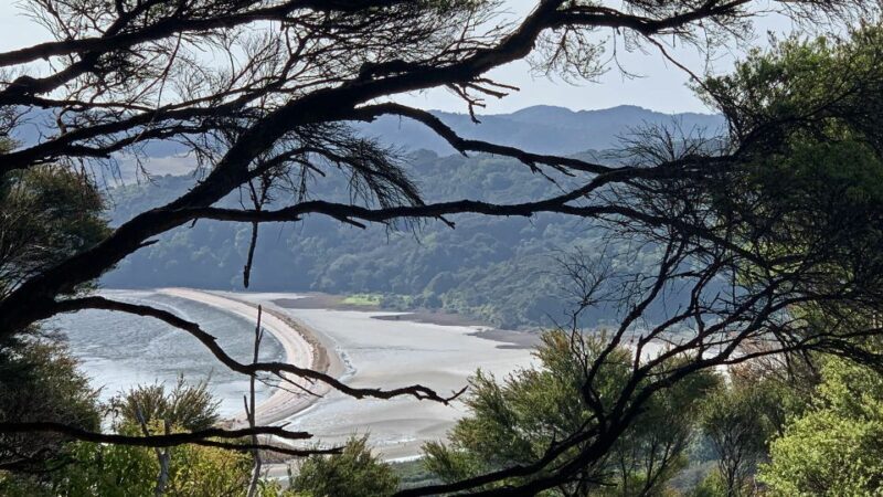 Waiheke Island: 5-Day Self-Guided Te Ara Hura Walk - Practical Tips for Potential Travelers