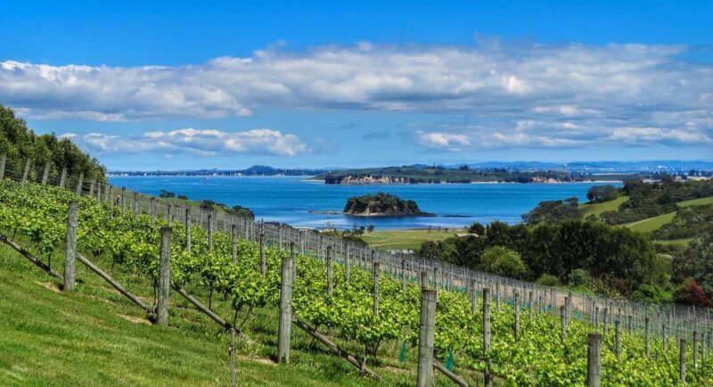Waiheke Island: Afternoon Wine Tour with Oceanfront Lunch - An Authentic Taste of Waiheke Island: Afternoon Wine Tour with Oceanfront Lunch