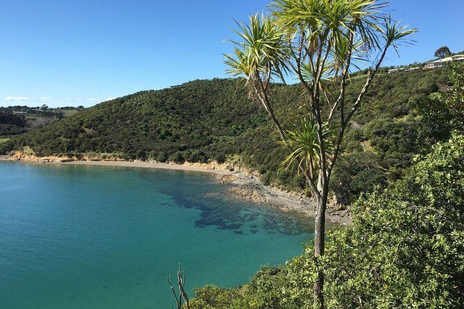 Waiheke Island Double Headland Coastal Walk - Final Thoughts: Who Is This Tour Best For?