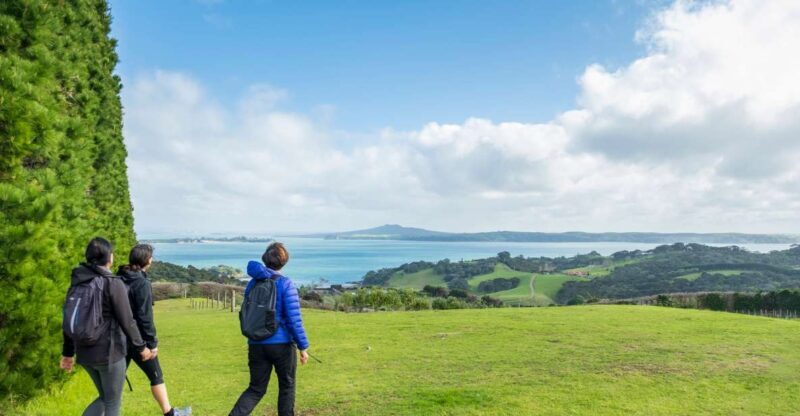 Waiheke Island: Double Headland Premium Guided Coastal Walk - What’s Included & What’s Not