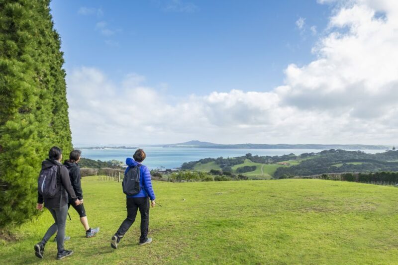 Waiheke Island: Double Headland Premium Guided Coastal Walk - Who Will Love This Tour?