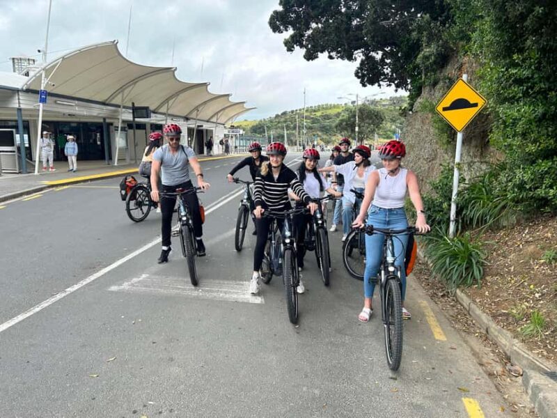 Waiheke Island: Electric Bike Rental - A Closer Look at the Experience