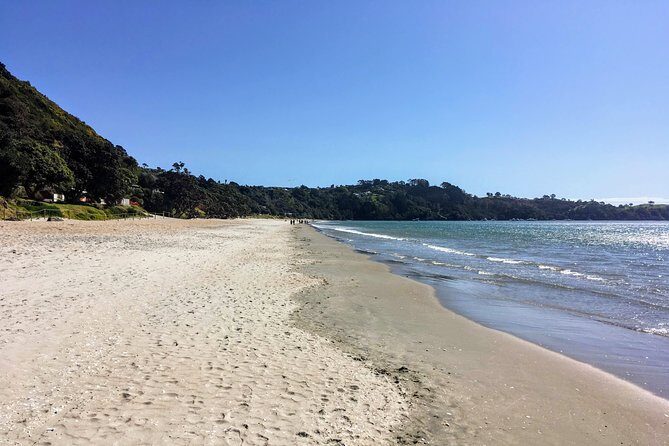 Waiheke Island Experience Tour - Practical Details & Considerations
