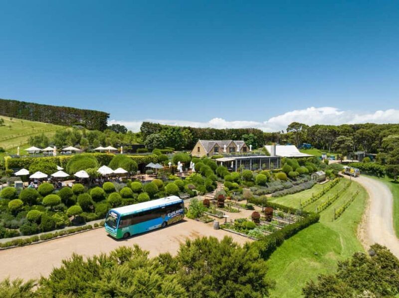 Waiheke Island: Ferry & Hop-On Hop-Off Explorer Bus Tickets - Introduction: A Practical, Enjoyable Way to Discover Waiheke Island