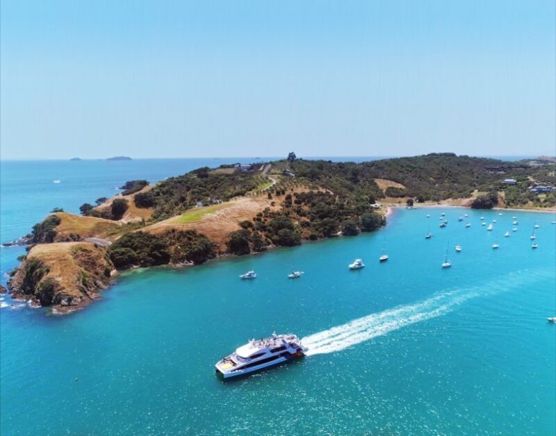 Waiheke Island: Ferry & Hop-On Hop-Off Explorer Bus Tickets - Discovering Waiheke’s Top Wineries and Beaches