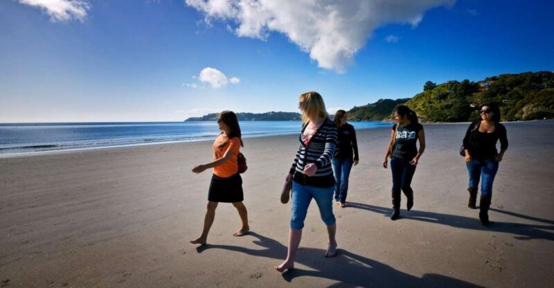 Waiheke Island: Ferry & Hop-On Hop-Off Explorer Bus Tickets - Review Roundup: What Travelers Love (And What Could Be Better)