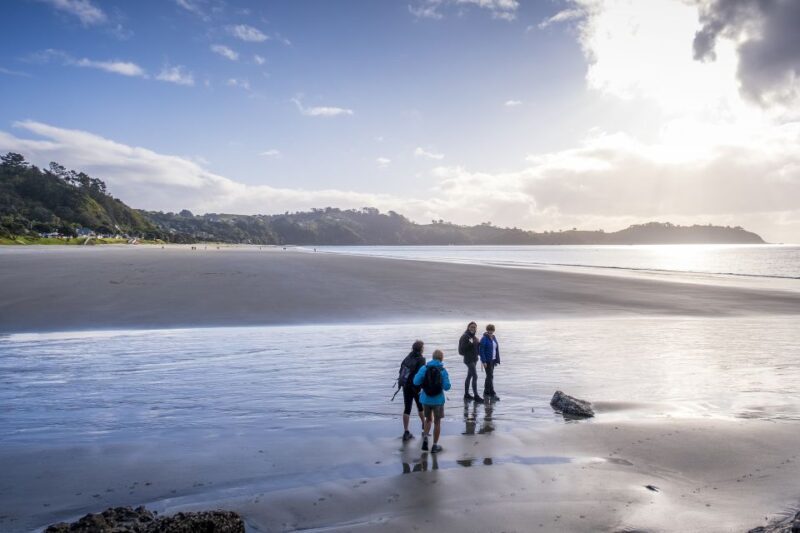 Waiheke Island: Forest and Beach Premium Guided Walk - What Makes This Tour Stand Out?