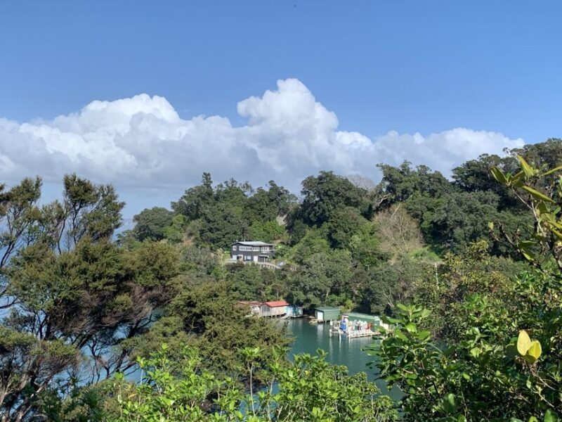 Waiheke Island: Forest and Beach Premium Guided Walk - Scenic Highlights and Natural Attractions