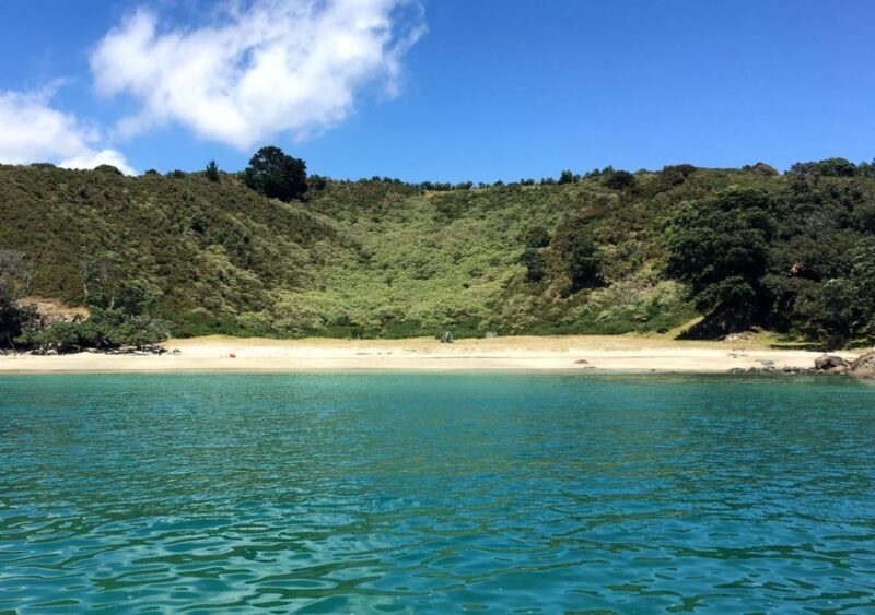 Waiheke Island: Forest and Beach Premium Guided Walk - Practical Details and Value