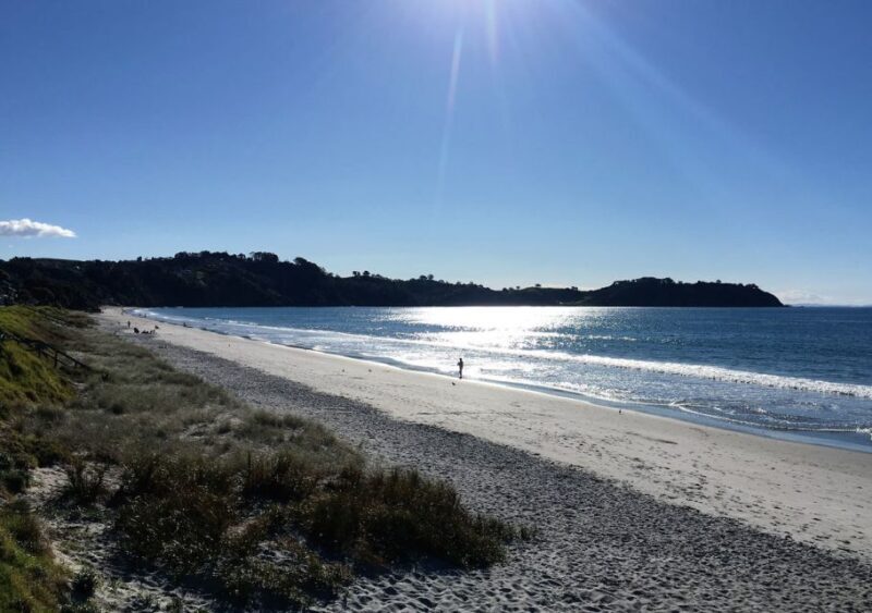 Waiheke Island: Forest and Beach Premium Guided Walk - FAQ
