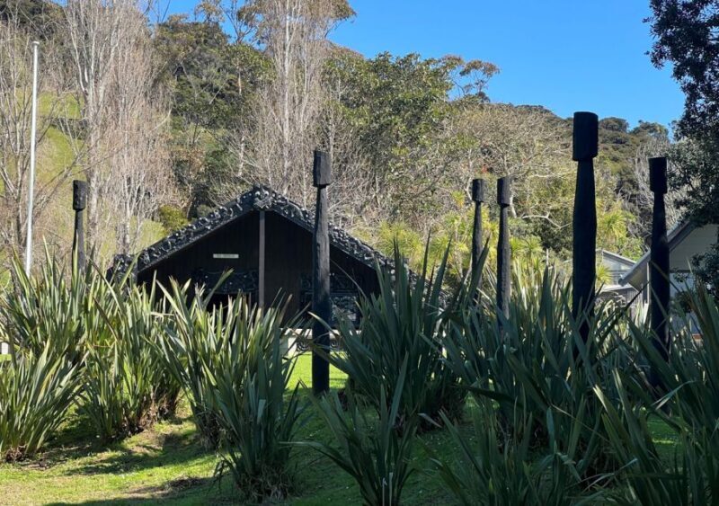Waiheke Island: Full Day Guided History and Heritage Tour - History at Your Feet: An Archaeological Site Walk