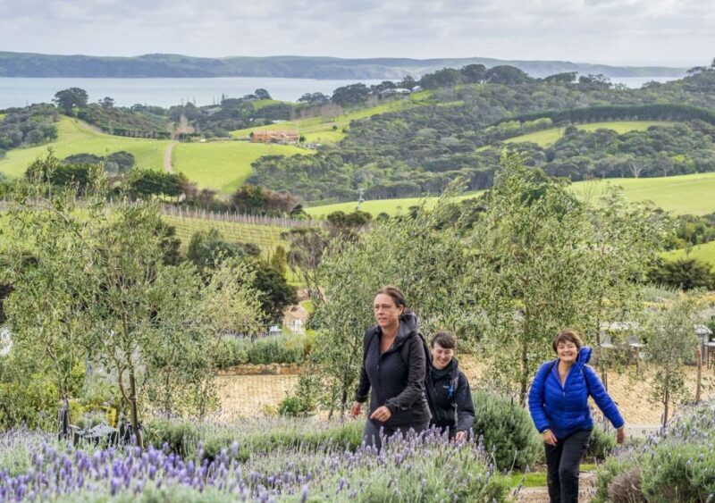 Waiheke Island: Full Day Guided History and Heritage Tour - Final Thoughts: Who Will Love This Tour?