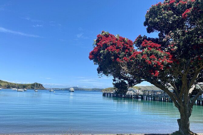 Waiheke Island Gourmet Food and Wine Tour - An In-Depth Look at the Waiheke Food and Wine Experience