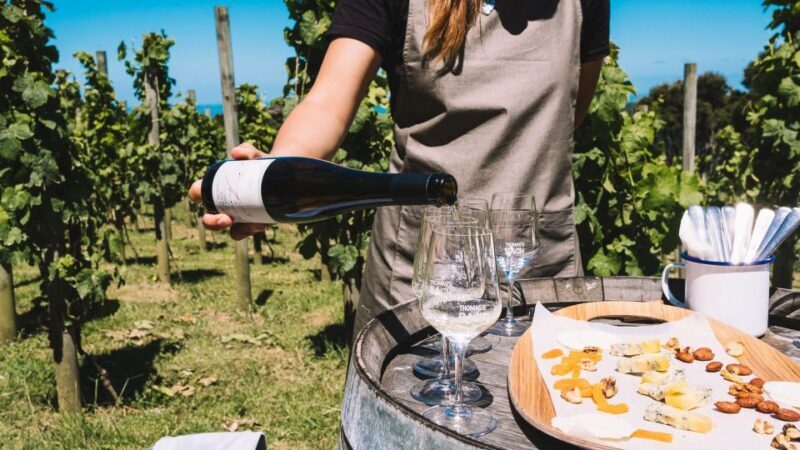 Waiheke Island Gourmet Food and Wine Tour with Platter Lunch - What the Tour Offers: An Overview