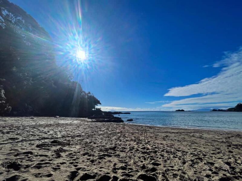 Waiheke Island: Guided Luxury Wine Tour with Tastings - Key Points