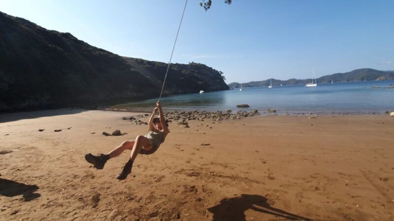 Waiheke Island: Gulf Marine Park Sailing Adventure & Lunch - Lunch: A Taste of New Zealand’s Local Produce