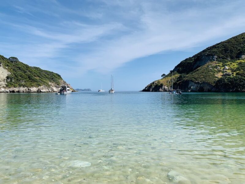 Waiheke Island: Gulf Marine Park Sailing Adventure & Lunch - Beware the Extra Costs