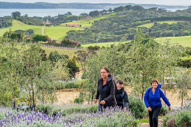 Waiheke Island History and Heritage Tour - FAQ
