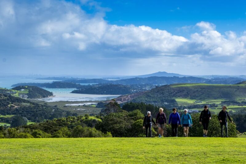 Waiheke Island: Premium Vineyard, Wine Tasting and Bush Walk - Is It Worth the Price?