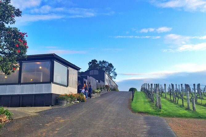 Waiheke Island Premium Wine Tour with Tastings - An Overview of the Waiheke Wine Tour Experience
