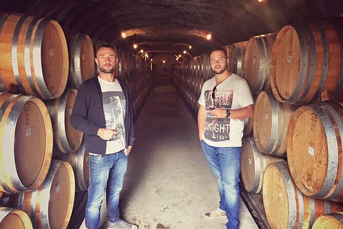 Waiheke Island Premium Wine Tour with Tastings - Who This Tour Is Perfect For