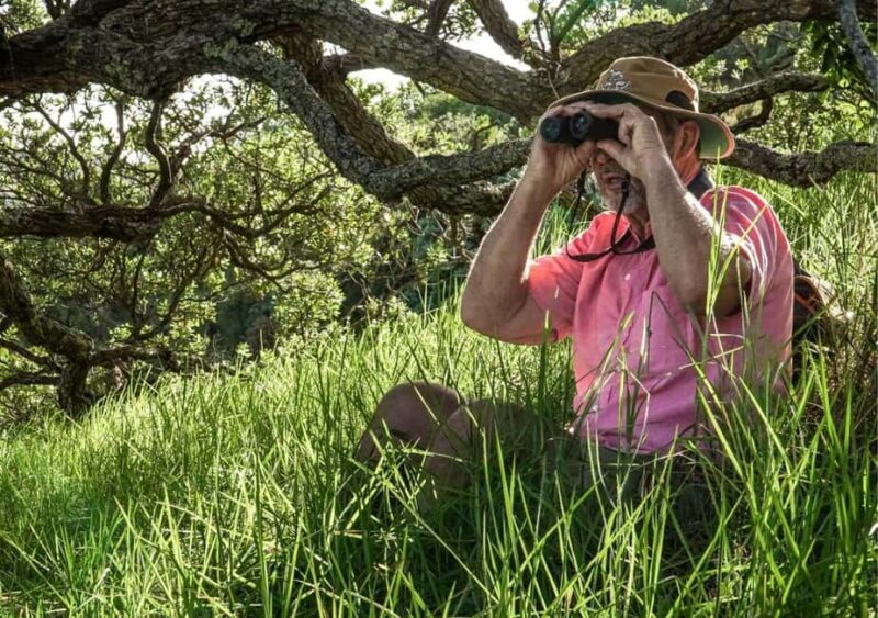 Waiheke Island: Private Birding Tour | Terra & Tide - Why This Tour Stands Out