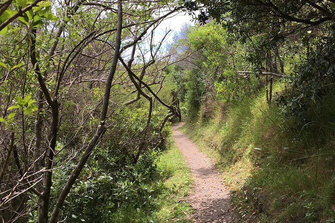Waiheke Island Private Double Headland Walk - Value and Pricing: Is It Worth It?