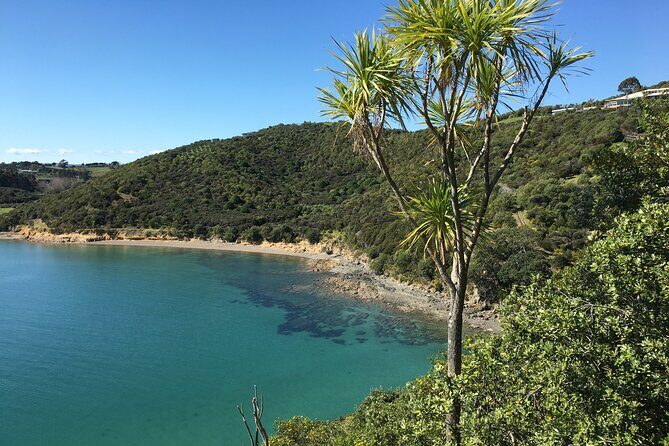 Waiheke Island Private Double Headland Walk - The Sum Up
