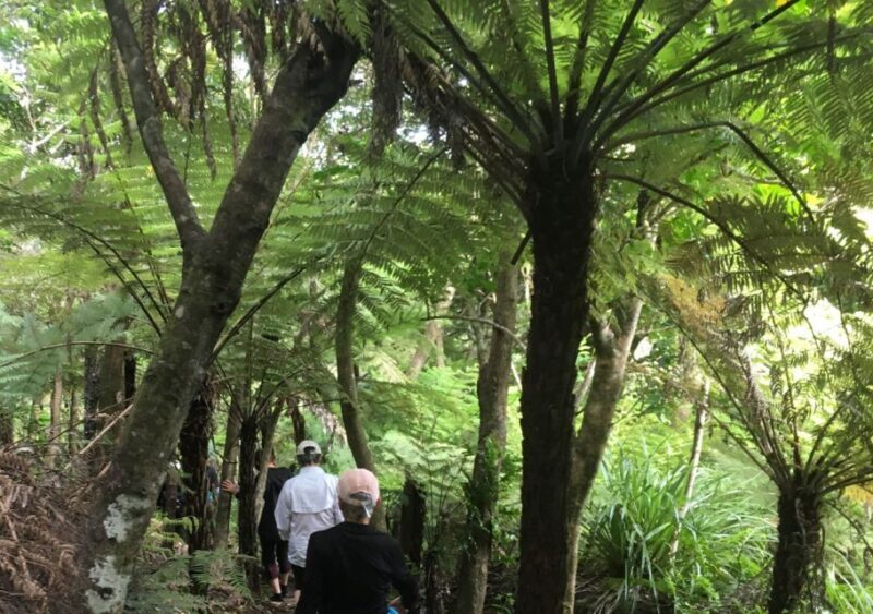 Waiheke Island: Private Guided Te Ara Hura 5-Day Walk - What Makes This Tour Special