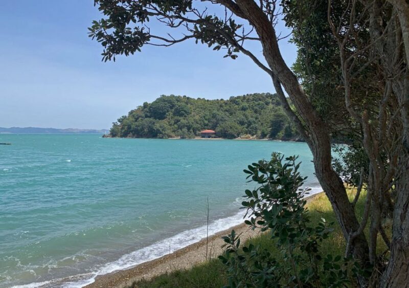 Waiheke Island: Private Guided Te Ara Hura 5-Day Walk - Why This Tour Offers Great Value