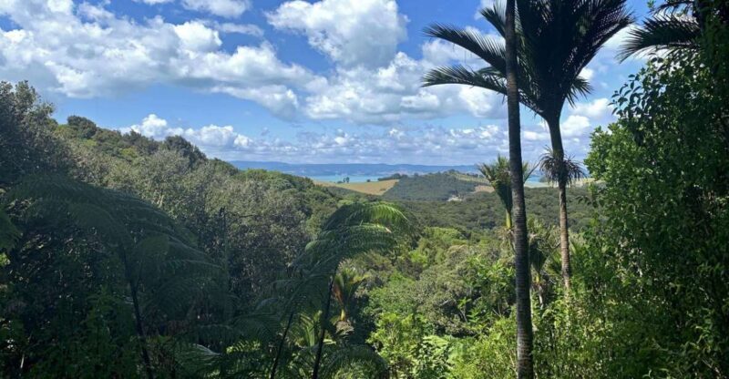 Waiheke Island: Private Guided Te Ara Hura 5-Day Walk - Who Will Love This Tour?
