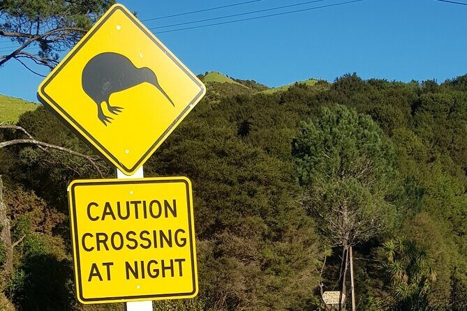 Waiheke Island Private Tours - Breaking Down the Itinerary: What a Typical Day Might Look Like