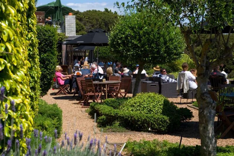 Waiheke Island: Scenic PREMIUM Wine Tour. Max 11 clients - Key Points