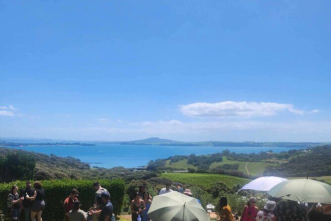 Waiheke Island Scenic Wine Tour with Gourmet Beachfront Lunch - Why Choose This Tour?