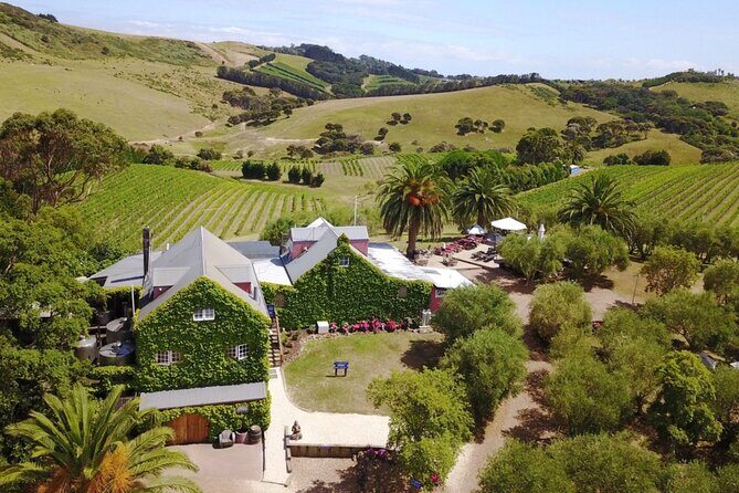 Waiheke Island Scenic Wine Tour with Gourmet Beachfront Lunch - Ideal Audience for This Tour