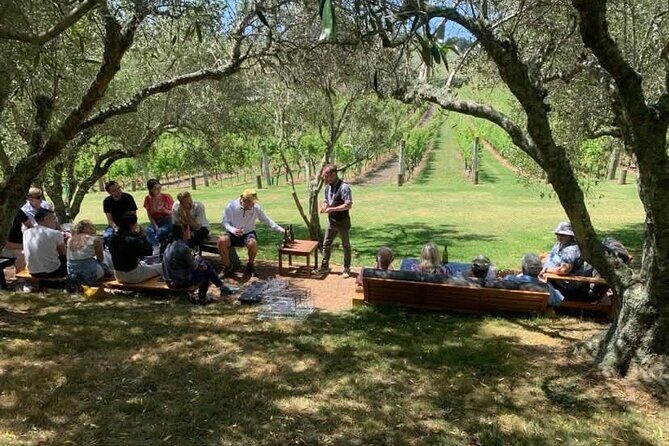 Waiheke Island Scenic Wine Tour with Gourmet Beachfront Lunch - Practical Tips