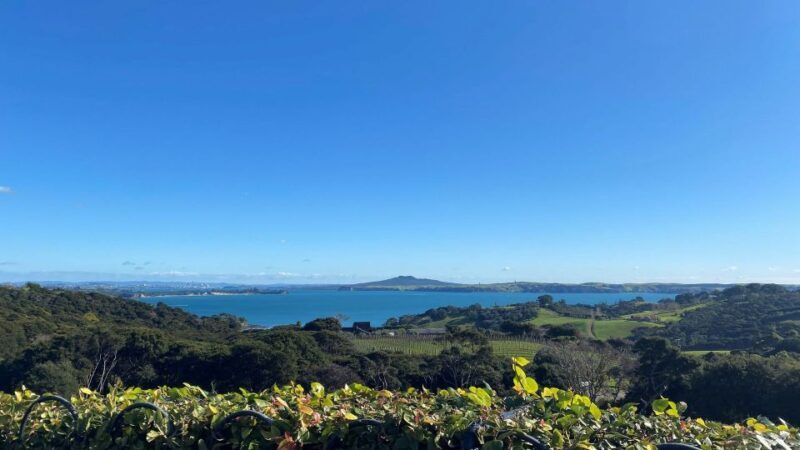 Waiheke Island: The Essence of Waiheke Wine Tour - Who Would Love This Tour?