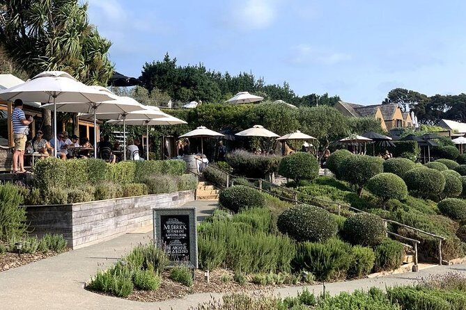 Waiheke Island Vineyards and Bush Walk - An Authentic Waiheke Experience: Walking and Wine