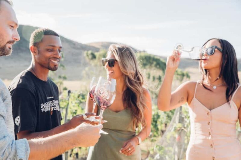 Waiheke Island: Wine Tour & Lunch at Award Winning Venue - An In-Depth Look at the Waiheke Island Wine Tour