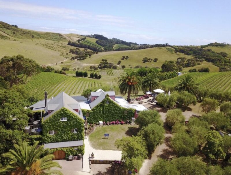 Waiheke Island: Wine Tour & Lunch at Award Winning Venue - An Overview of the Waiheke Island Wine Tour Experience