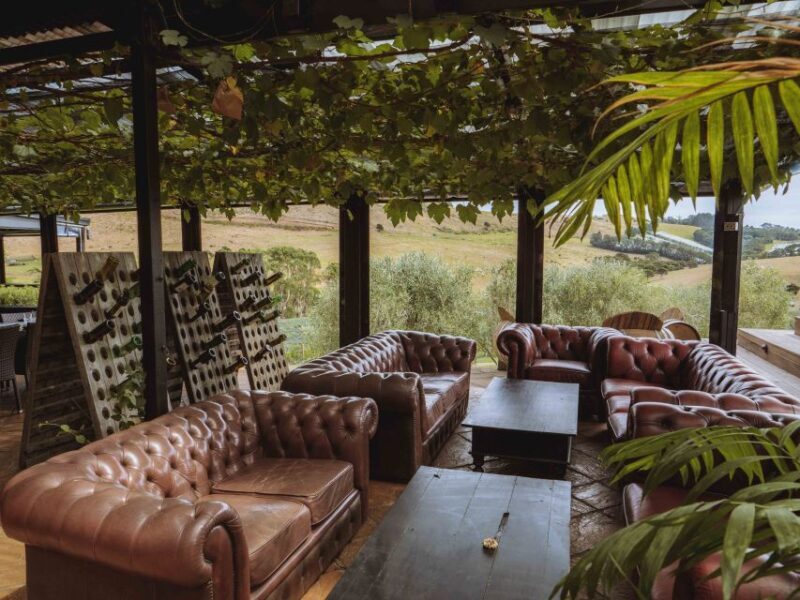 Waiheke Island: Wine Tour & Lunch at Award Winning Venue - Additional Winery Visits & Return Options