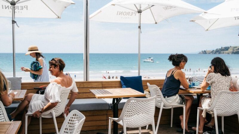 Waiheke Island: Wine Tour & Lunch at Award Winning Venue - Transportation & Group Size